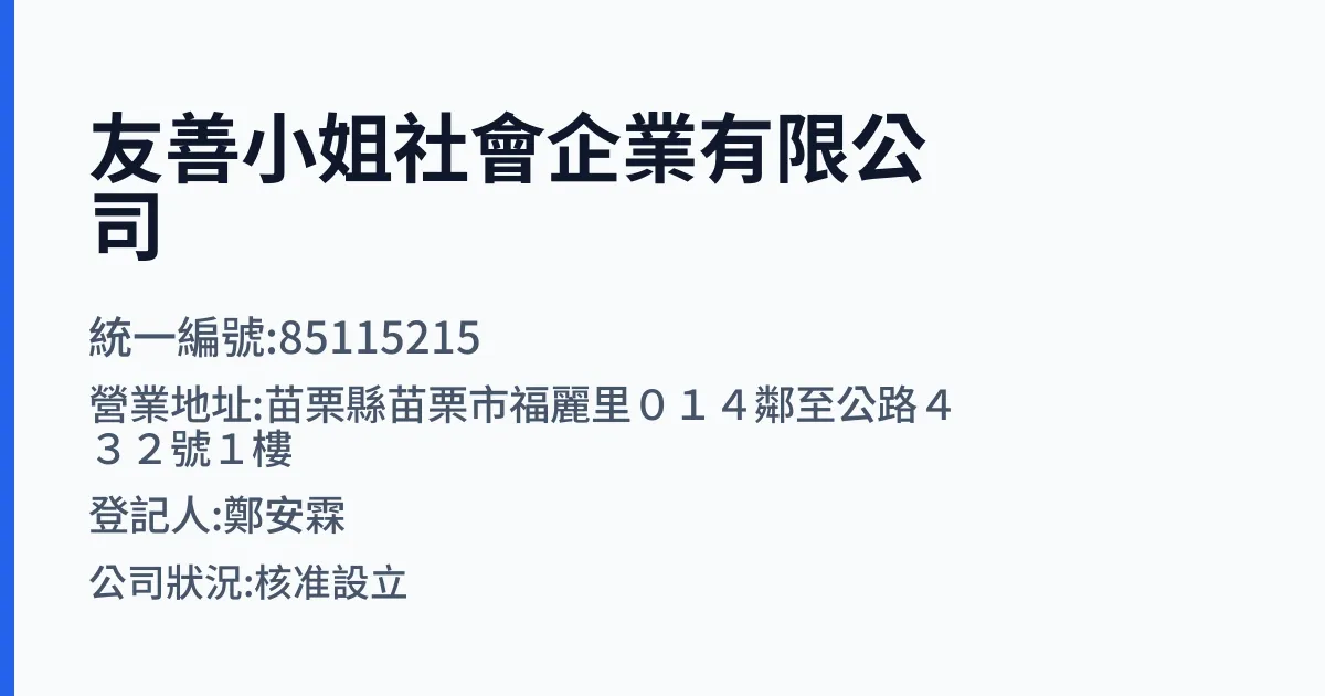 友善小姐社會企業有限公司 - 統編 85115215(苗栗縣) 公司登記資料與營業項目詳細圖表