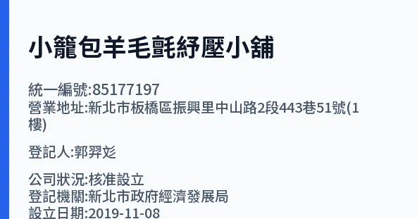 小籠包羊毛氈紓壓小舖的照片-統編 85177197(新北市) 公司登記資料與營業項目詳細圖表