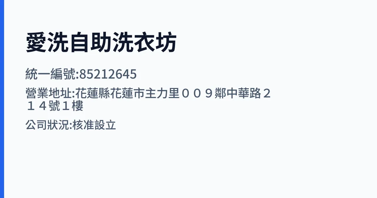 愛洗自助洗衣坊 - 統編 85212645(花蓮縣) 公司登記資料與營業項目詳細圖表