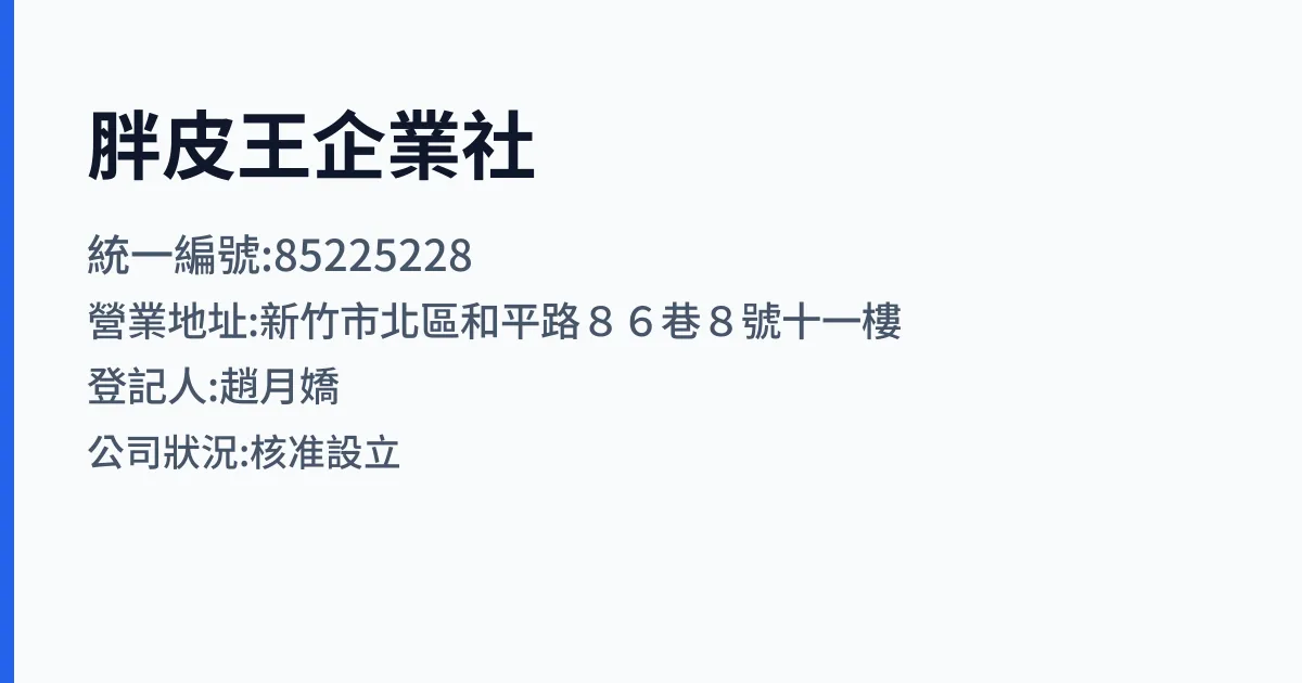 胖皮王企業社 - 統編 85225228(新竹市) 公司登記資料與營業項目詳細圖表
