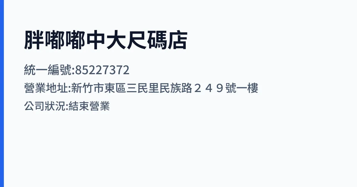 胖嘟嘟中大尺碼店 - 統編 85227372(新竹市) 公司登記資料與營業項目詳細圖表