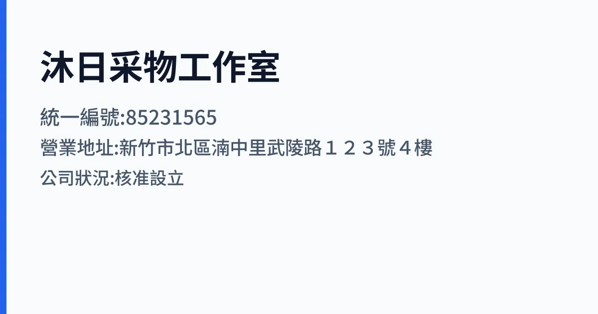 沐日采物工作室 - 統編 85231565(新竹市) 公司登記資料與營業項目詳細圖表