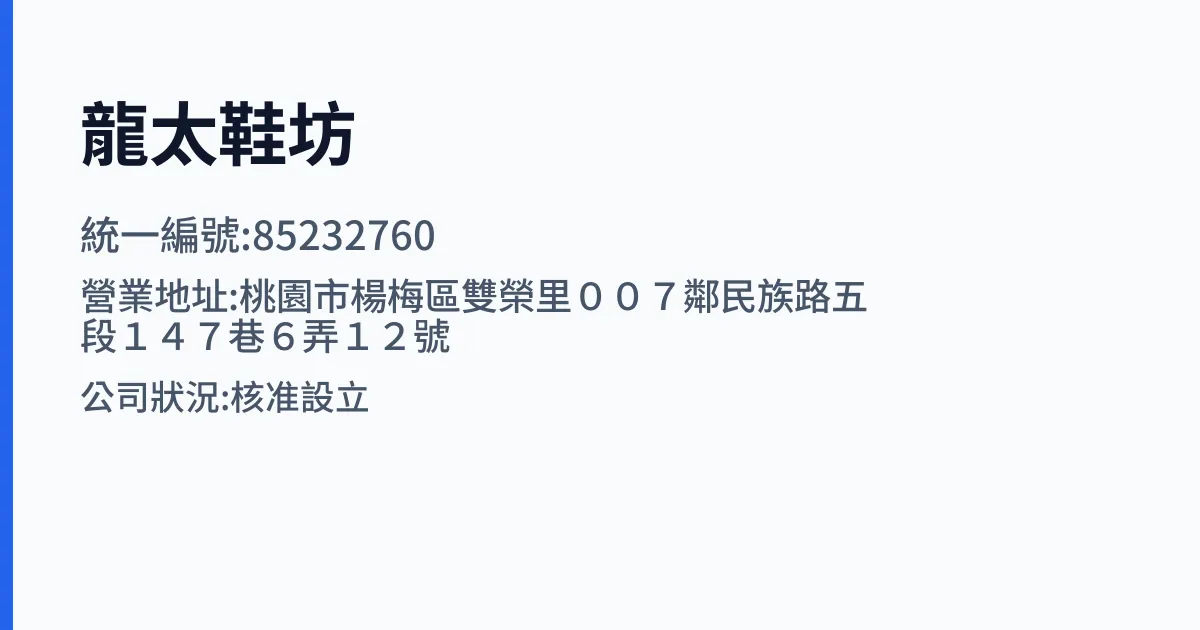 龍太鞋坊 - 統編 85232760(桃園市) 公司登記資料與營業項目詳細圖表