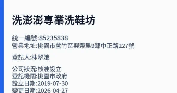 洗澎澎專業洗鞋坊的照片-統編 85235838(桃園市) 公司登記資料與營業項目詳細圖表