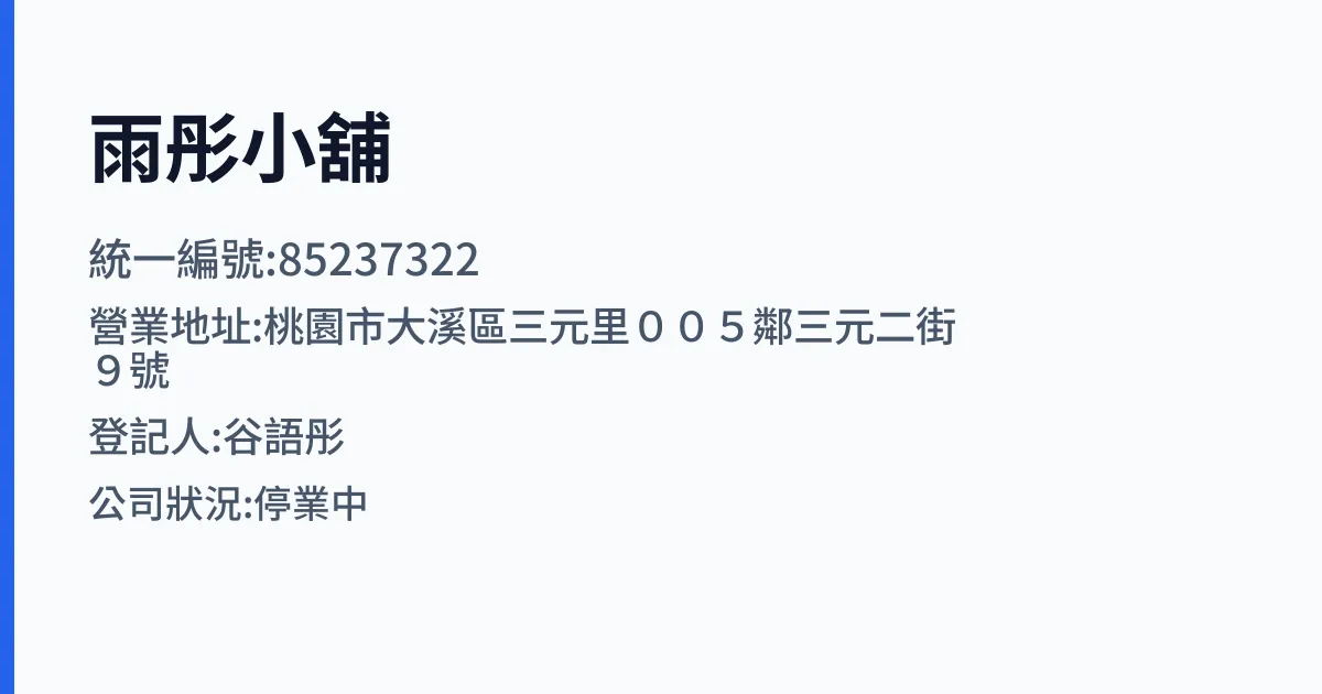 雨彤小舖 - 統編 85237322(桃園市) 公司登記資料與營業項目詳細圖表