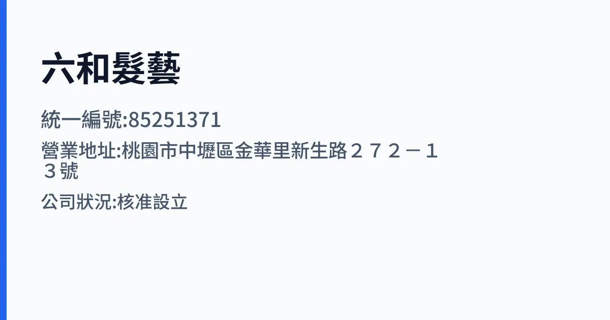 六和髮藝 - 統編 85251371(桃園市) 公司登記資料與營業項目詳細圖表
