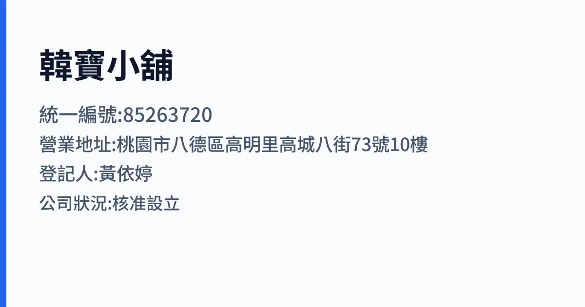 韓寶小舖 - 統編 85263720(桃園市) 公司登記資料與營業項目詳細圖表