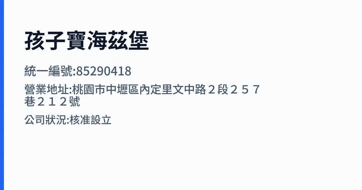 孩子寶海茲堡 - 統編 85290418(桃園市) 公司登記資料與營業項目詳細圖表