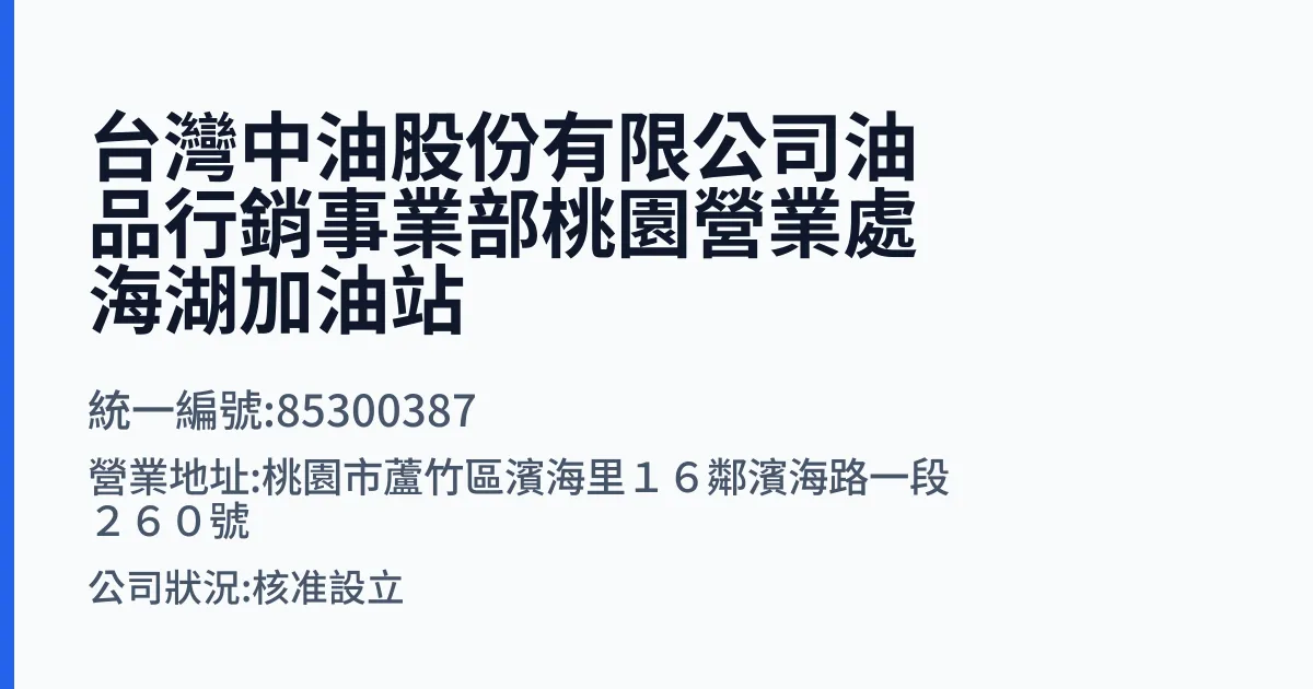 台灣中油股份有限公司油品行銷事業部桃園營業處海湖加油站 - 統編 85300387（桃園市） 公司登記資料與營業項目詳細圖表