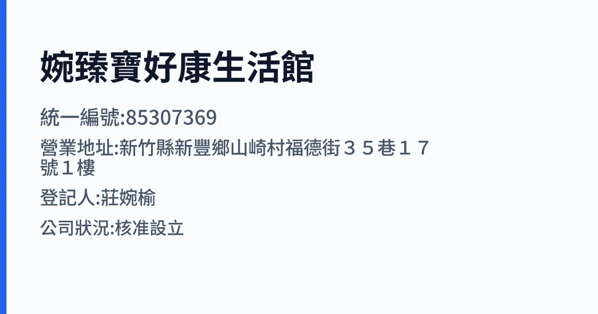 婉臻寶好康生活館 - 統編 85307369（新竹縣） 公司登記資料與營業項目詳細圖表