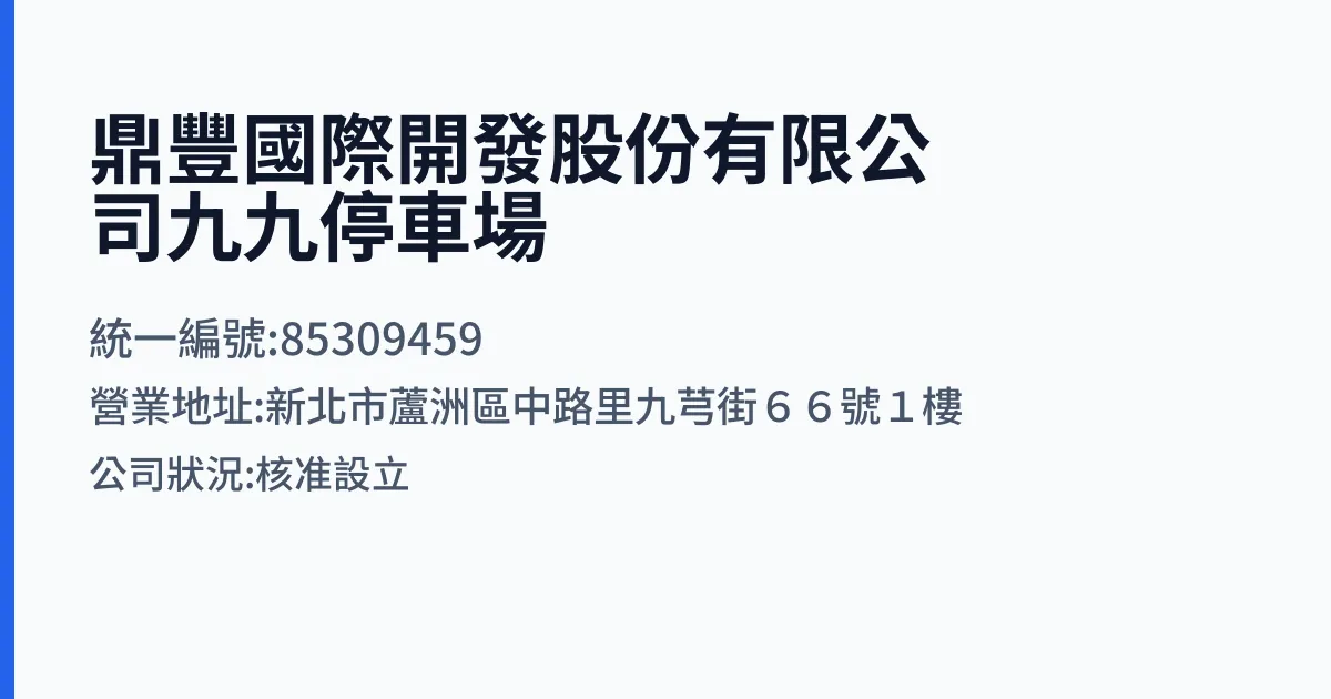 鼎豐國際開發股份有限公司九九停車場 - 統編 85309459（新北市） 公司登記資料與營業項目詳細圖表