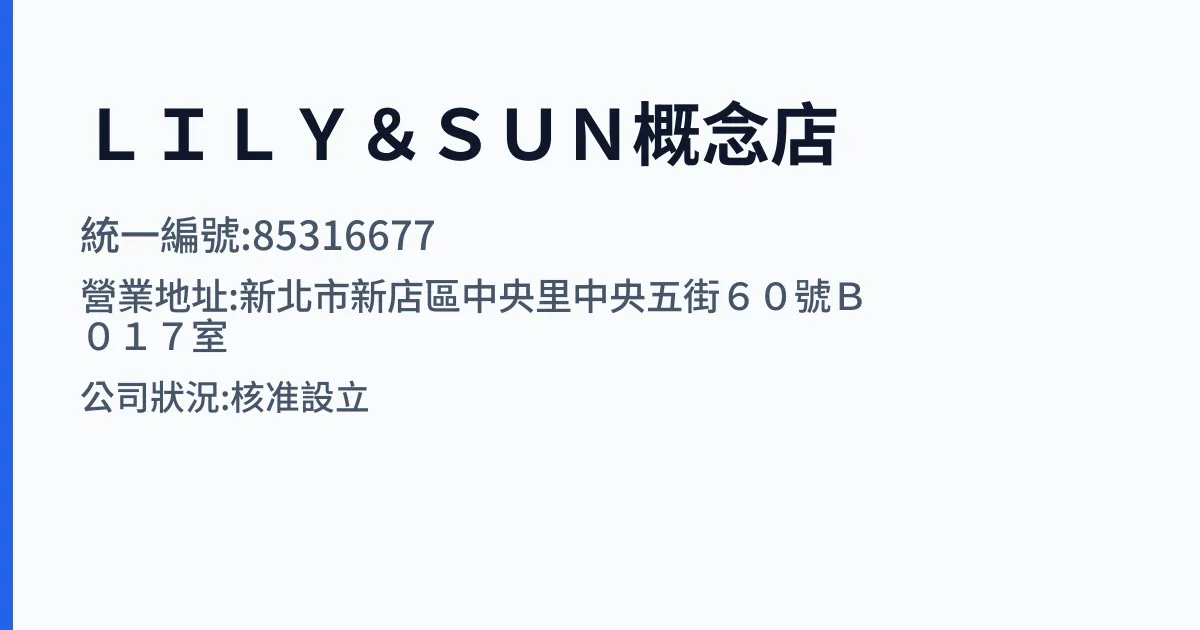 LILY&SUN概念店 - 統編 85316677(新北市) 公司登記資料與營業項目詳細圖表