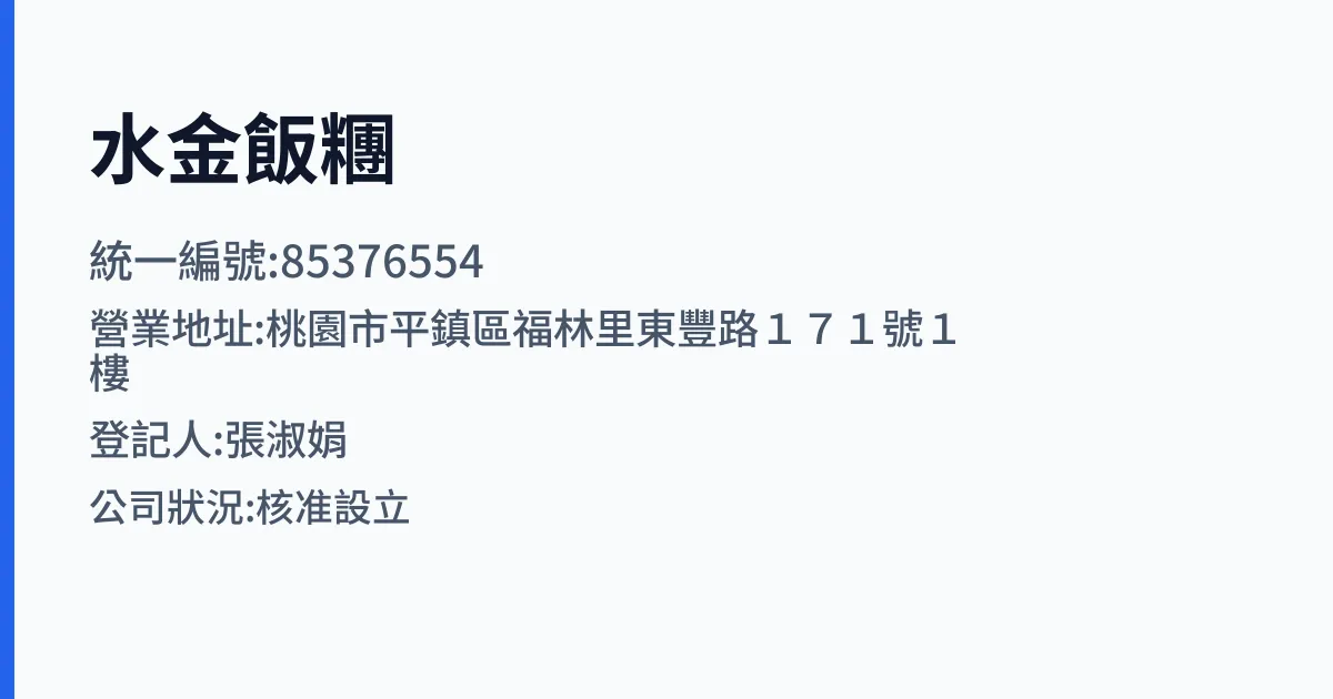 水金飯糰 - 統編 85376554(桃園市) 公司登記資料與營業項目詳細圖表