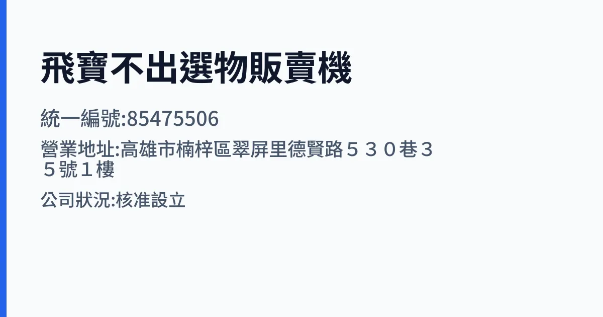 飛寶不出選物販賣機 - 統編 85475506(高雄市) 公司登記資料與營業項目詳細圖表