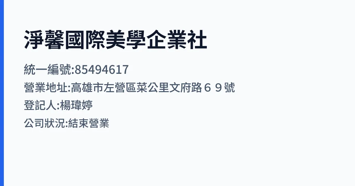 淨馨國際美學企業社 - 統編 85494617(高雄市) 公司登記資料與營業項目詳細圖表