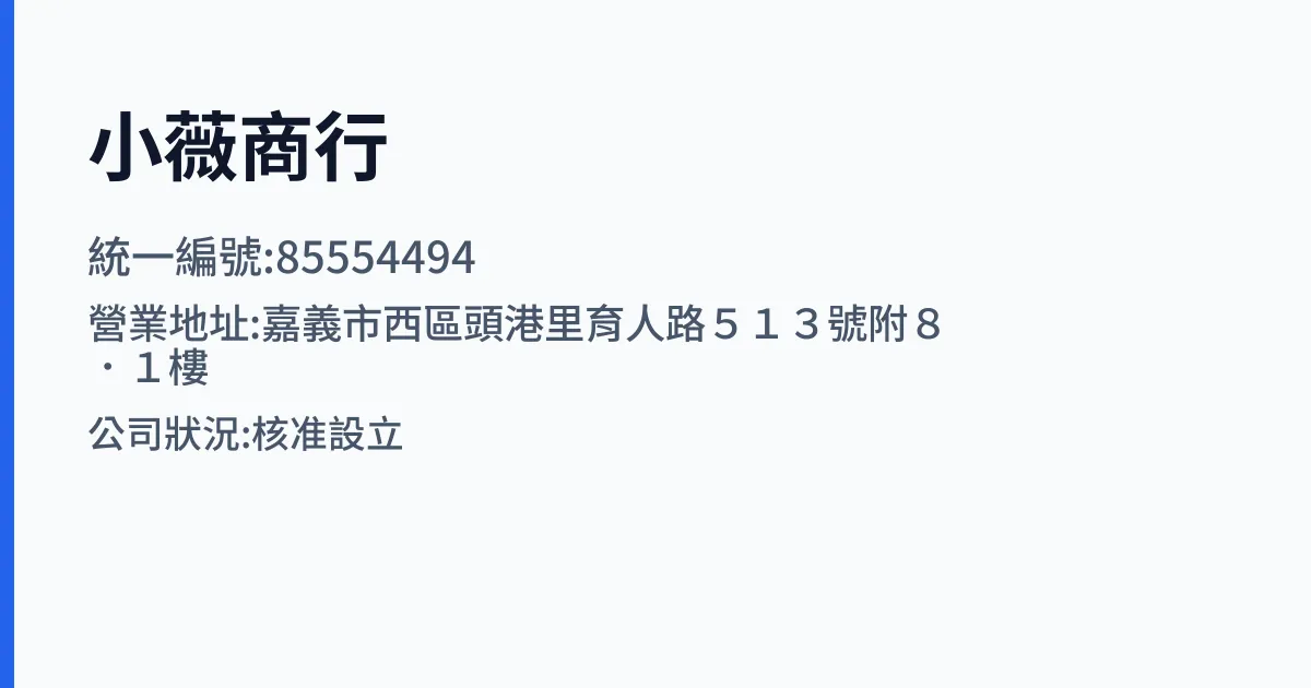 小薇商行 - 統編 85554494(嘉義市) 公司登記資料與營業項目詳細圖表