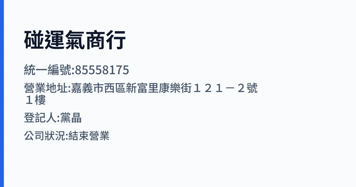 碰運氣商行 - 統編 85558175(嘉義市) 公司登記資料與營業項目詳細圖表