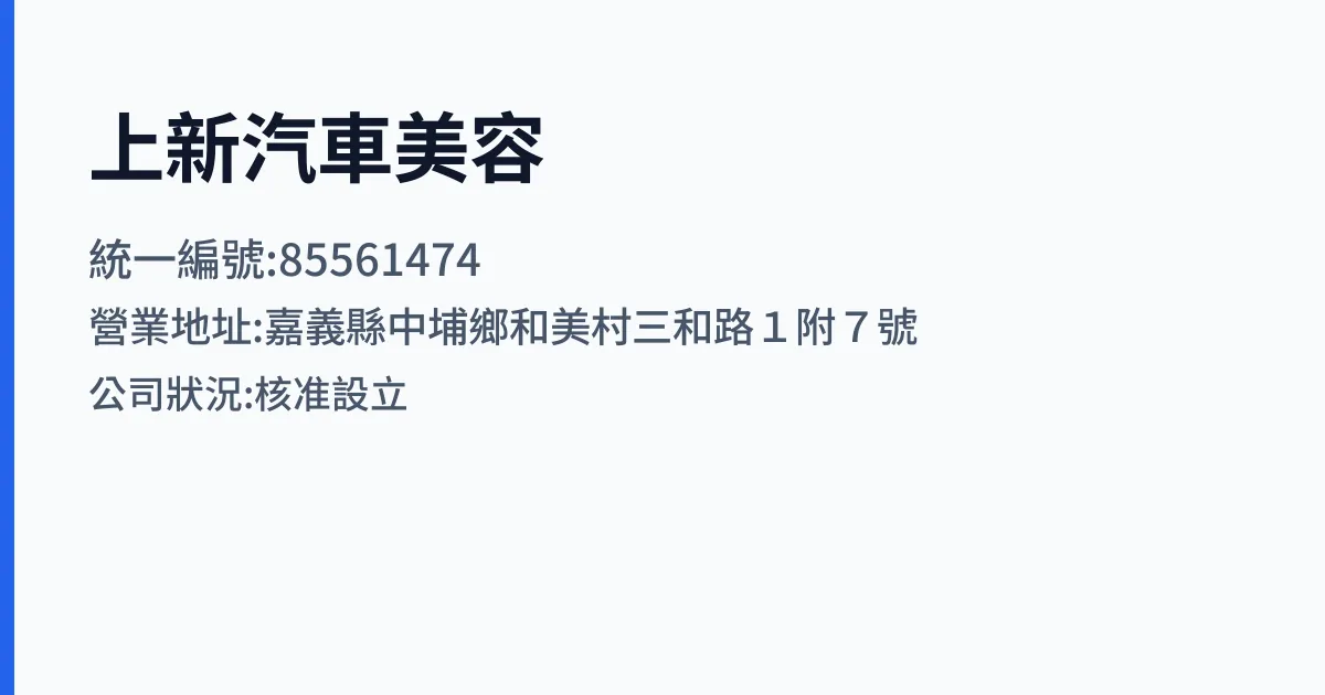 上新汽車美容 - 統編 85561474(嘉義縣) 公司登記資料與營業項目詳細圖表