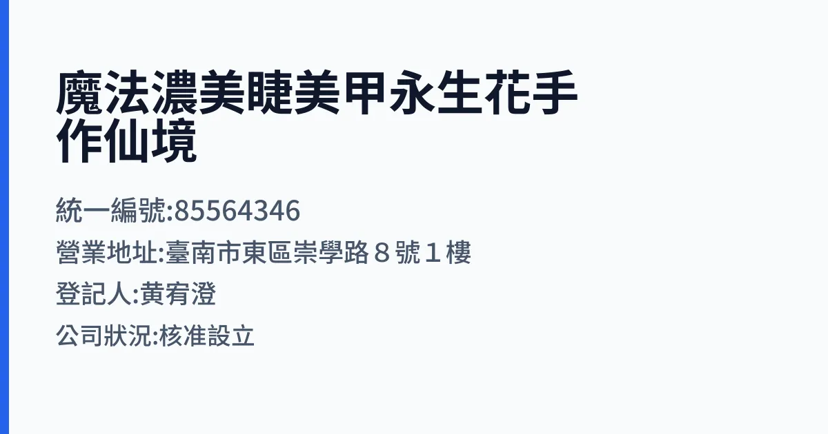 魔法濃美睫美甲永生花手作仙境 - 統編 85564346(臺南市) 公司登記資料與營業項目詳細圖表