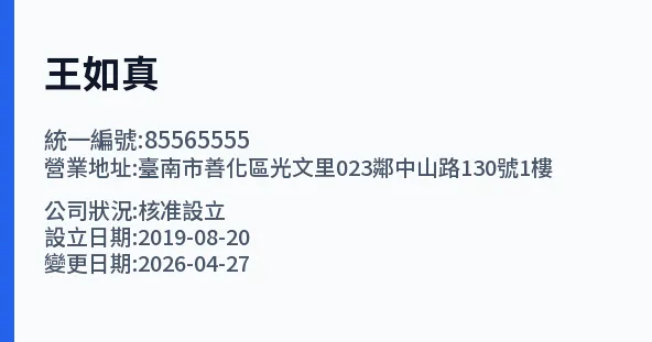 王如真的照片-統編 85565555(臺南市) 公司登記資料與營業項目詳細圖表