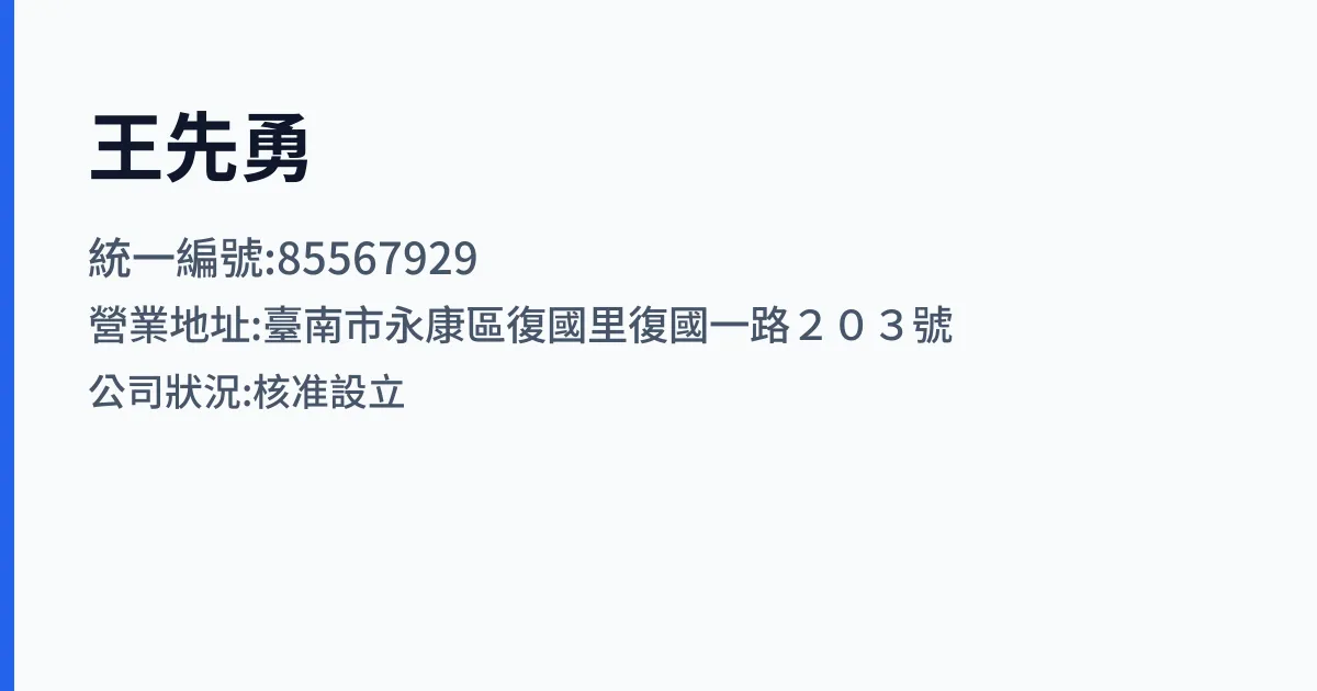 王先勇 - 統編 85567929(臺南市) 公司登記資料與營業項目詳細圖表