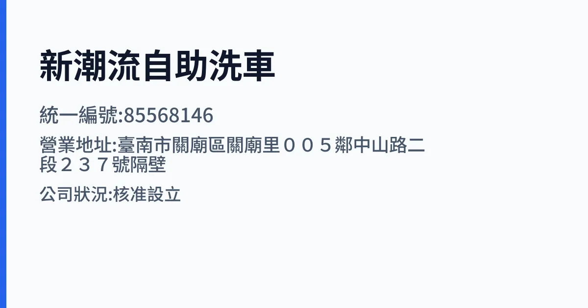 新潮流自助洗車 - 統編 85568146(臺南市) 公司登記資料與營業項目詳細圖表