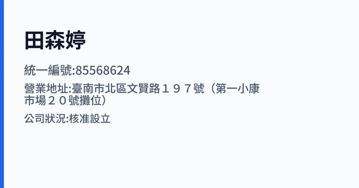 田森婷 - 統編 85568624(臺南市) 公司登記資料與營業項目詳細圖表