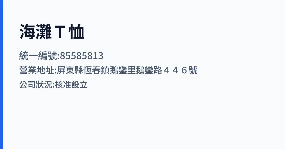 海灘Ｔ恤 - 統編 85585813(屏東縣) 公司登記資料與營業項目詳細圖表