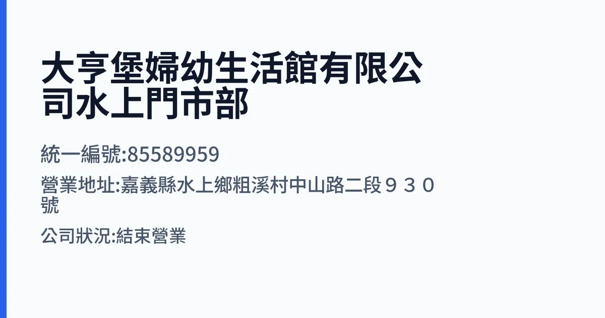 大亨堡婦幼生活館有限公司水上門市部 - 統編 85589959(嘉義縣) 公司登記資料與營業項目詳細圖表