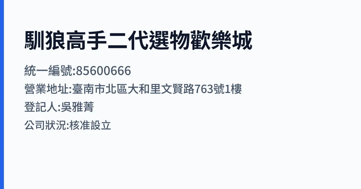 馴狼高手二代選物歡樂城 - 統編 85600666(臺南市) 公司登記資料與營業項目詳細圖表