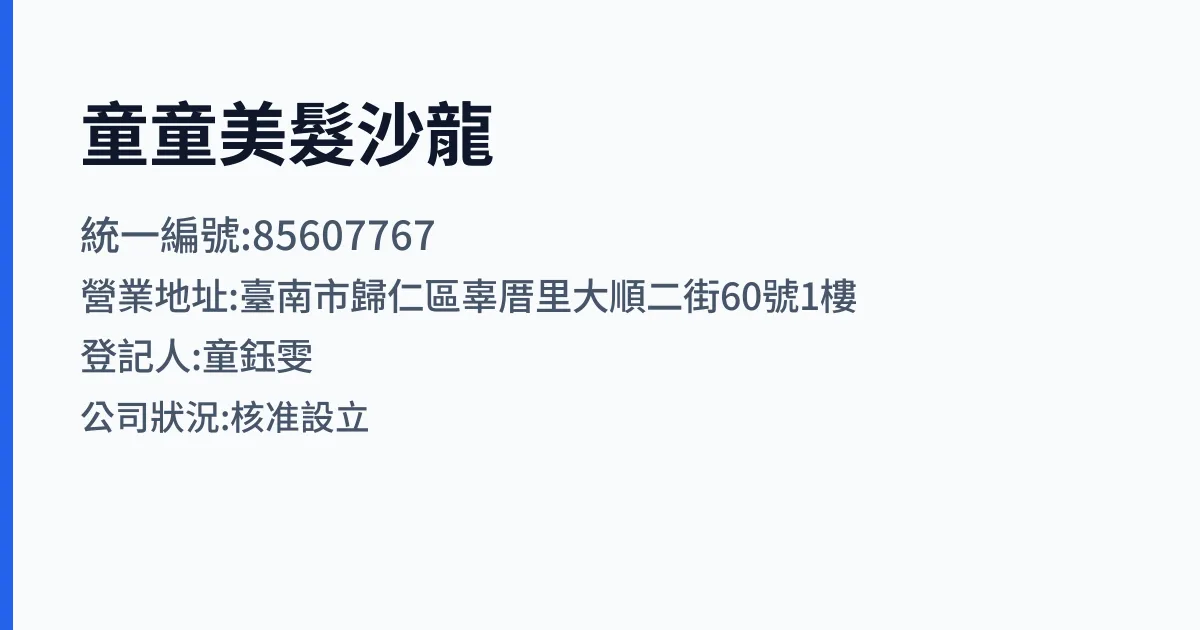 童童美髮沙龍 - 統編 85607767(臺南市) 公司登記資料與營業項目詳細圖表