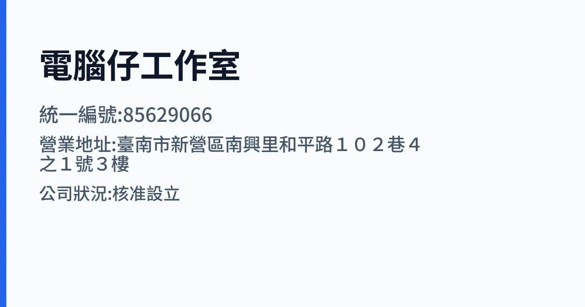 電腦仔工作室 - 統編 85629066（臺南市） 公司登記資料與營業項目詳細圖表