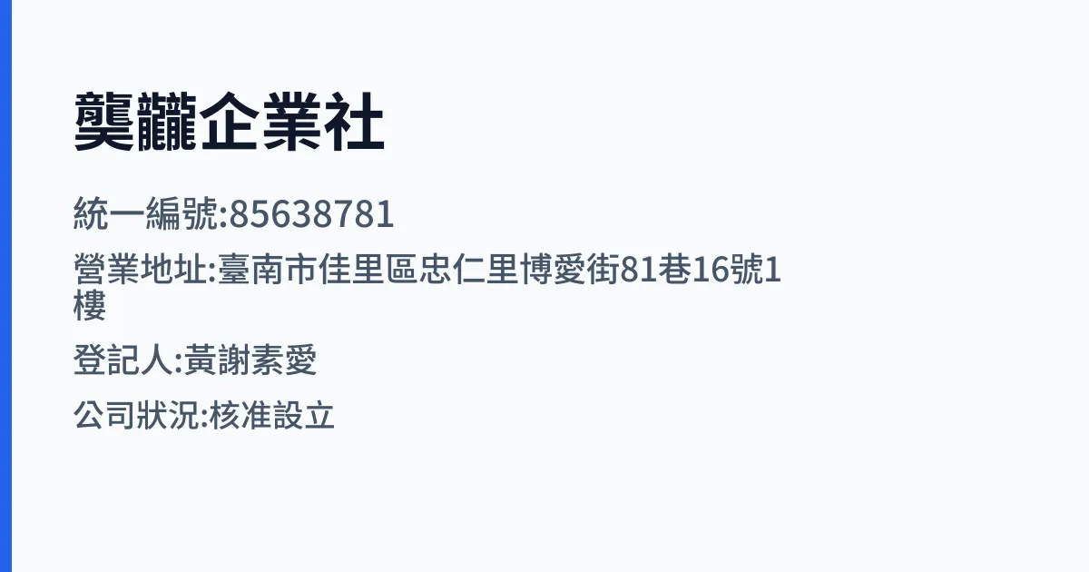 龑龖企業社 - 統編 85638781(臺南市) 公司登記資料與營業項目詳細圖表