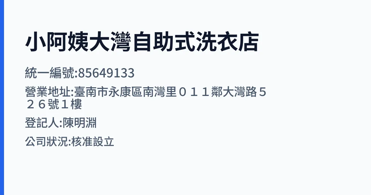 小阿姨大灣自助式洗衣店 - 統編 85649133(臺南市) 公司登記資料與營業項目詳細圖表