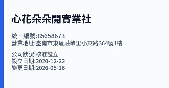 心花朵朵開實業社的照片-統編 85658673(臺南市) 公司登記資料與營業項目詳細圖表