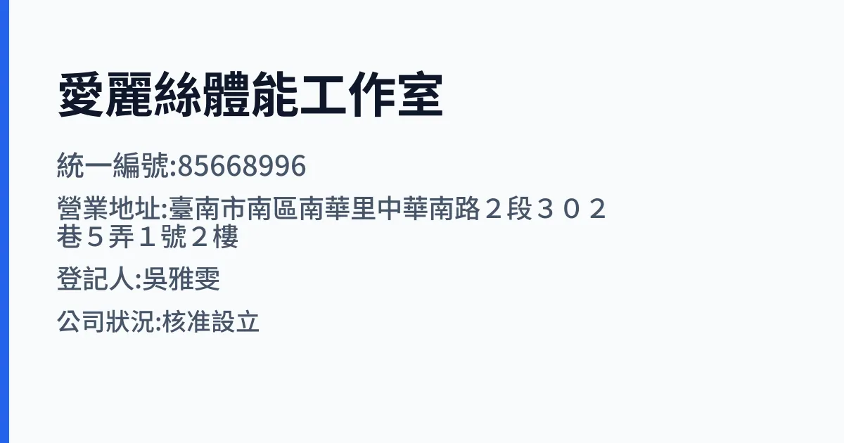 愛麗絲體能工作室 - 統編 85668996（臺南市） 公司登記資料與營業項目詳細圖表