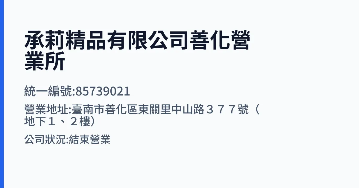 承莉精品有限公司善化營業所 - 統編 85739021(臺南市) 公司登記資料與營業項目詳細圖表