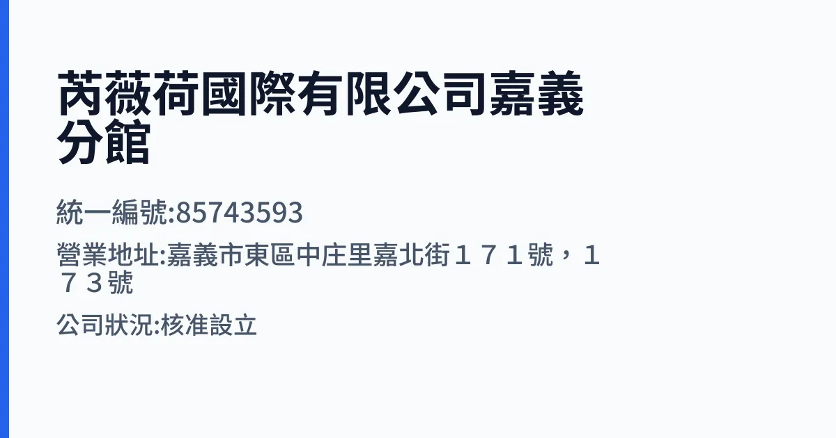 芮薇荷國際有限公司嘉義分館 - 統編 85743593（嘉義市） 公司登記資料與營業項目詳細圖表
