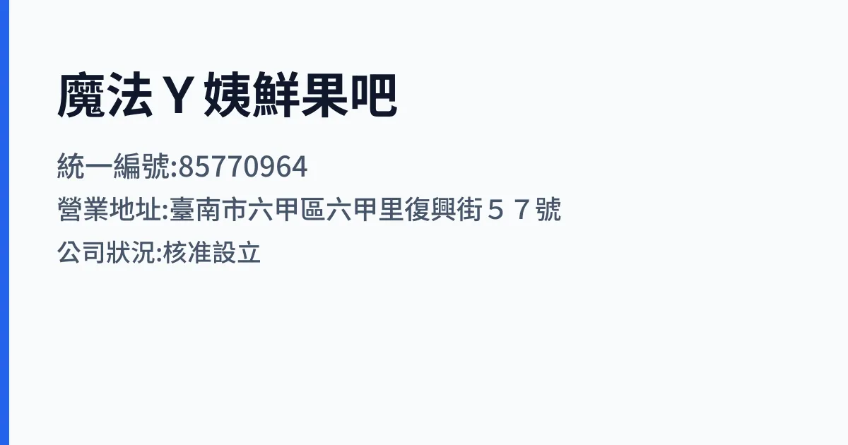 魔法Ｙ姨鮮果吧 - 統編 85770964（臺南市） 公司登記資料與營業項目詳細圖表