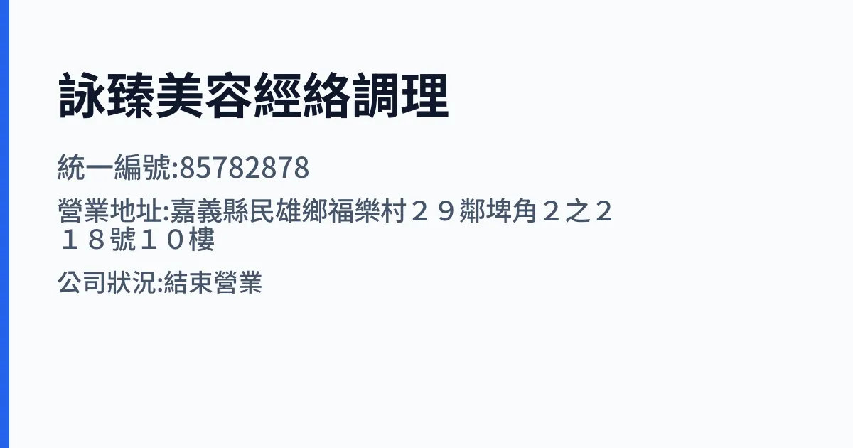 詠臻美容經絡調理 - 統編 85782878(嘉義縣) 公司登記資料與營業項目詳細圖表