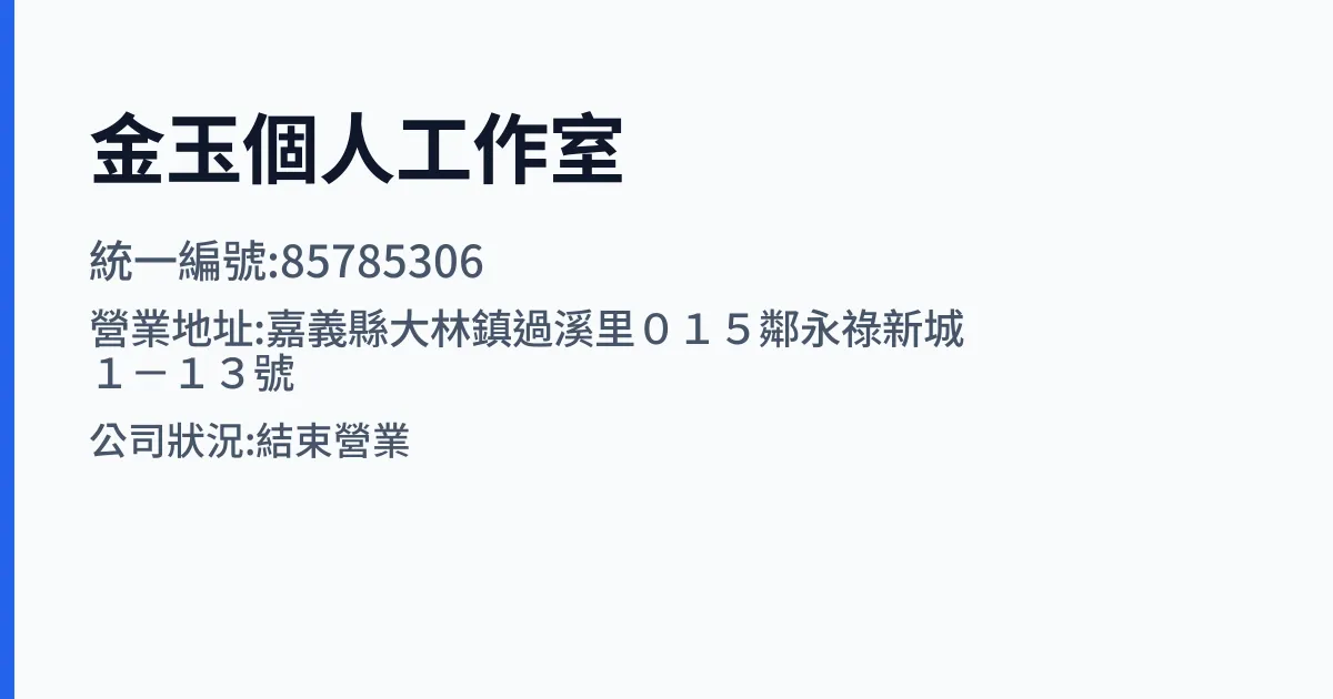 金玉個人工作室 - 統編 85785306（嘉義縣） 公司登記資料與營業項目詳細圖表