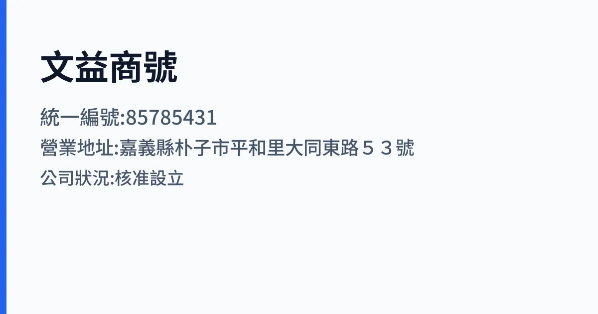 文益商號 - 統編 85785431(嘉義縣) 公司登記資料與營業項目詳細圖表