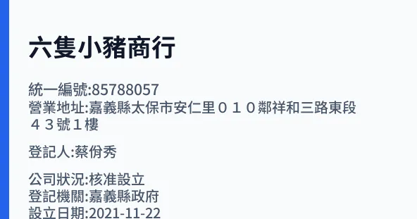 六隻小豬商行的照片-統編 85788057(嘉義縣) 公司登記資料與營業項目詳細圖表