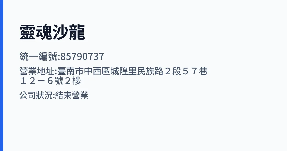 靈魂沙龍 - 統編 85790737（臺南市） 公司登記資料與營業項目詳細圖表