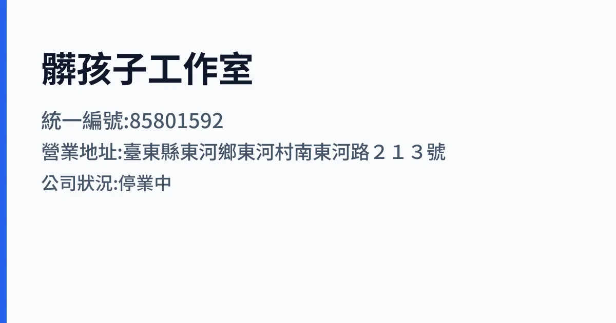 髒孩子工作室 - 統編 85801592(臺東縣) 公司登記資料與營業項目詳細圖表