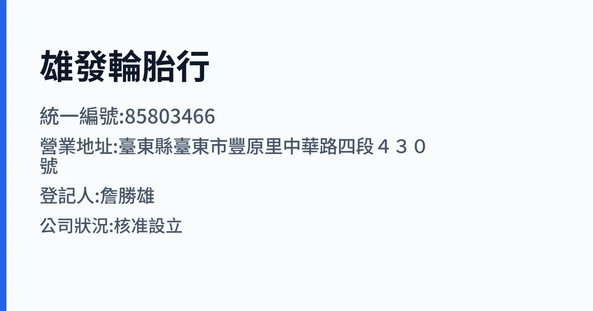 雄發輪胎行 - 統編 85803466(臺東縣) 公司登記資料與營業項目詳細圖表