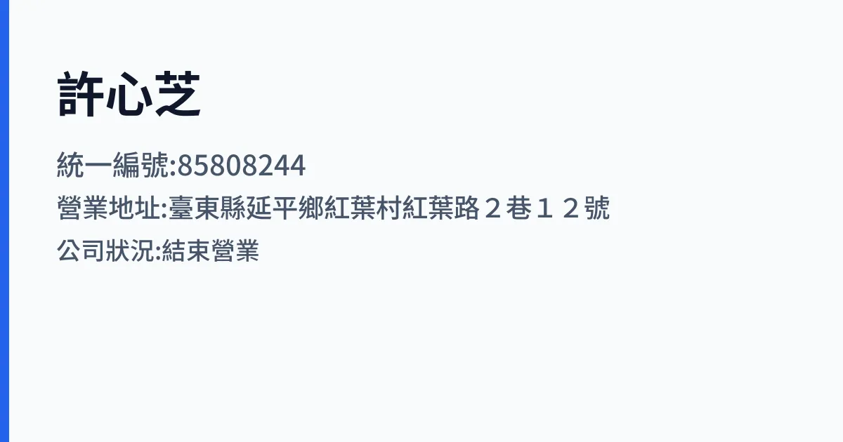 許心芝 - 統編 85808244(臺東縣) 公司登記資料與營業項目詳細圖表