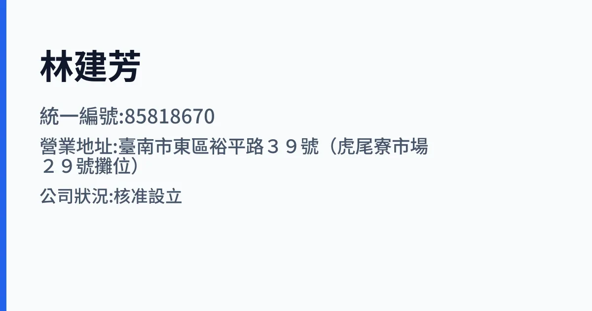 林建芳 - 統編 85818670(臺南市) 公司登記資料與營業項目詳細圖表