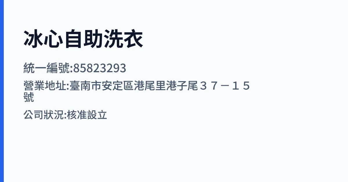 冰心自助洗衣 - 統編 85823293(臺南市) 公司登記資料與營業項目詳細圖表