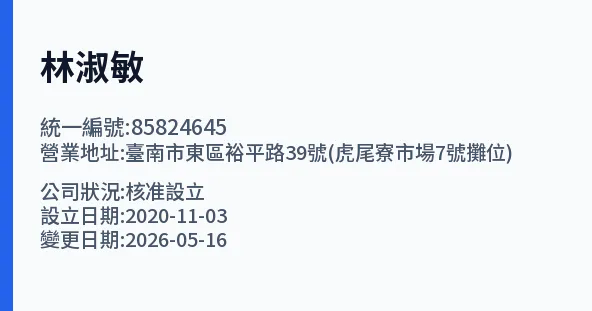 林淑敏的照片-統編 85824645(臺南市) 公司登記資料與營業項目詳細圖表